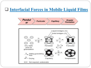 Granulation Technology (A Concise View) | PPTX
