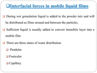 Granulation Technology (A Concise View) | PPTX