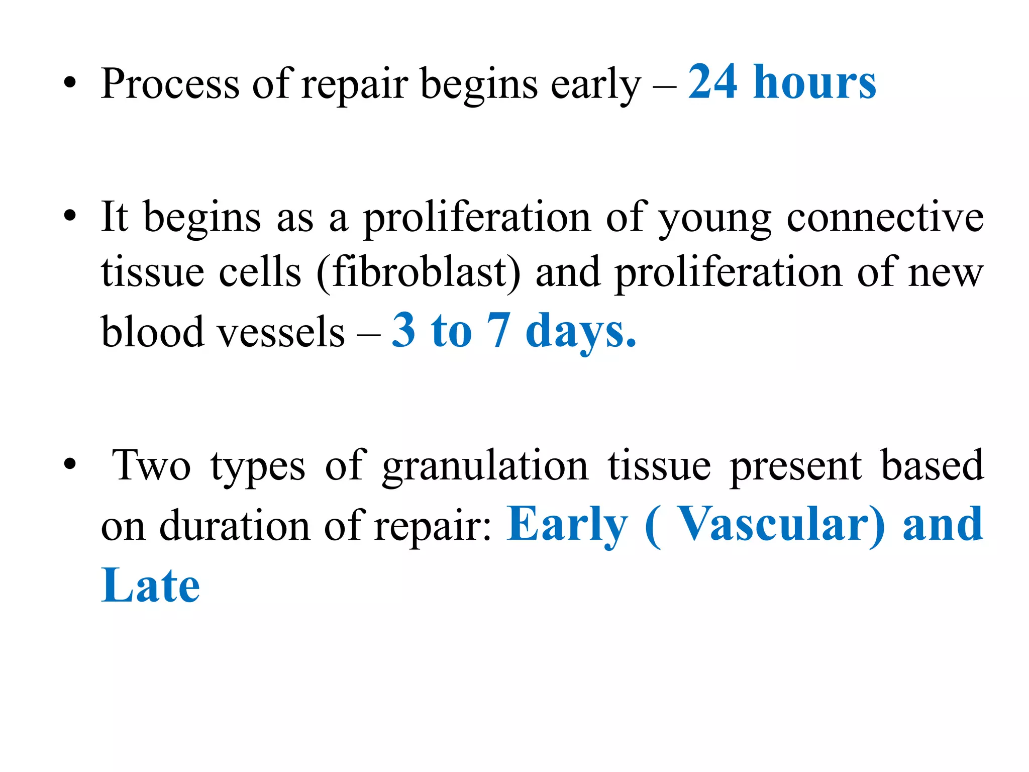 GRANULATION TISSUE.pptx