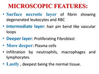 GRANULATION TISSUE.pptx