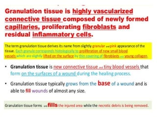 GRANULATION TISSUE.pptx