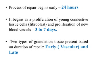 GRANULATION TISSUE.pptx