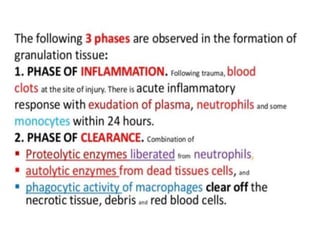 GRANULATION TISSUE.pptx