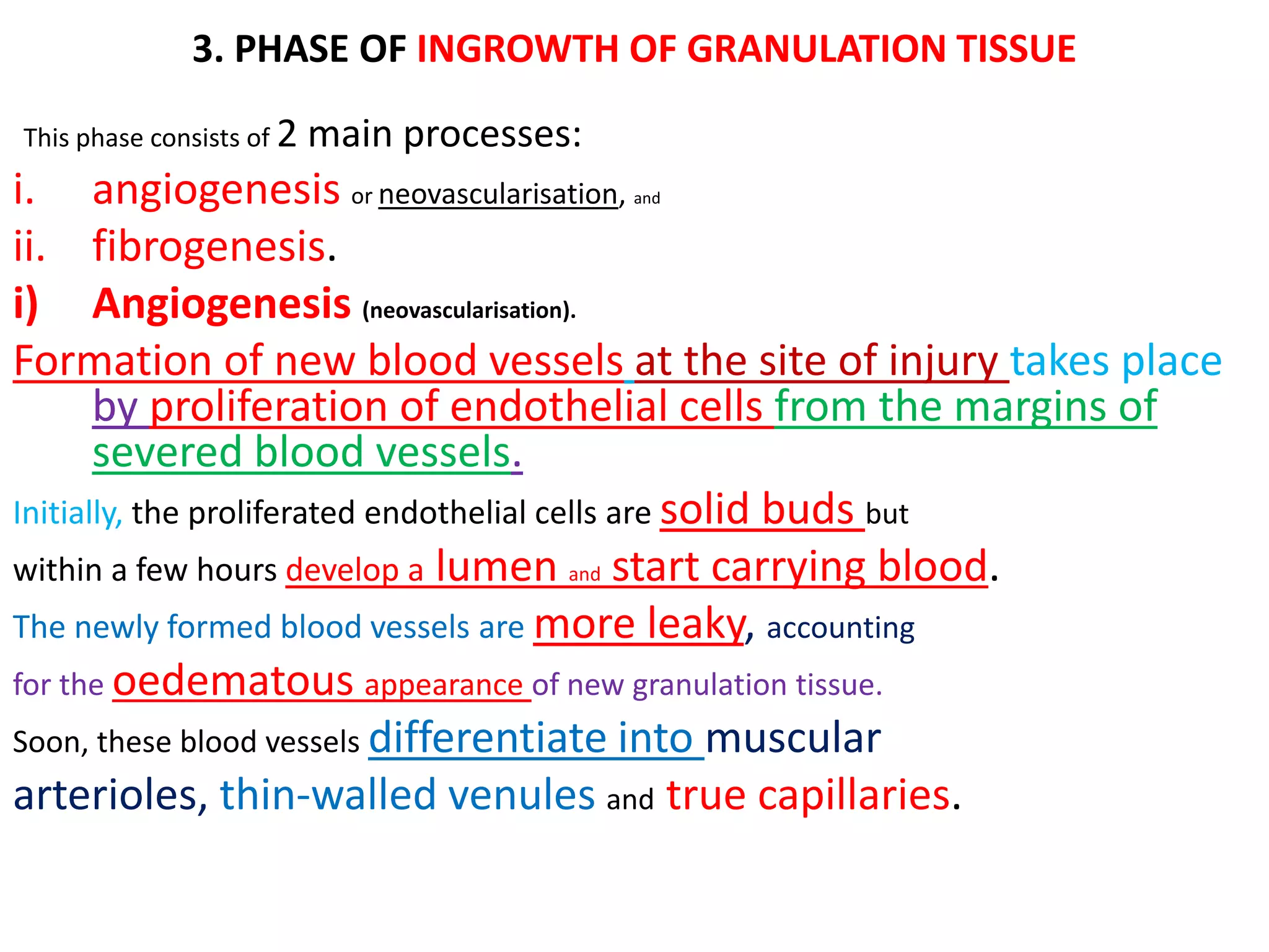 Granulation tissue formation | PPTX