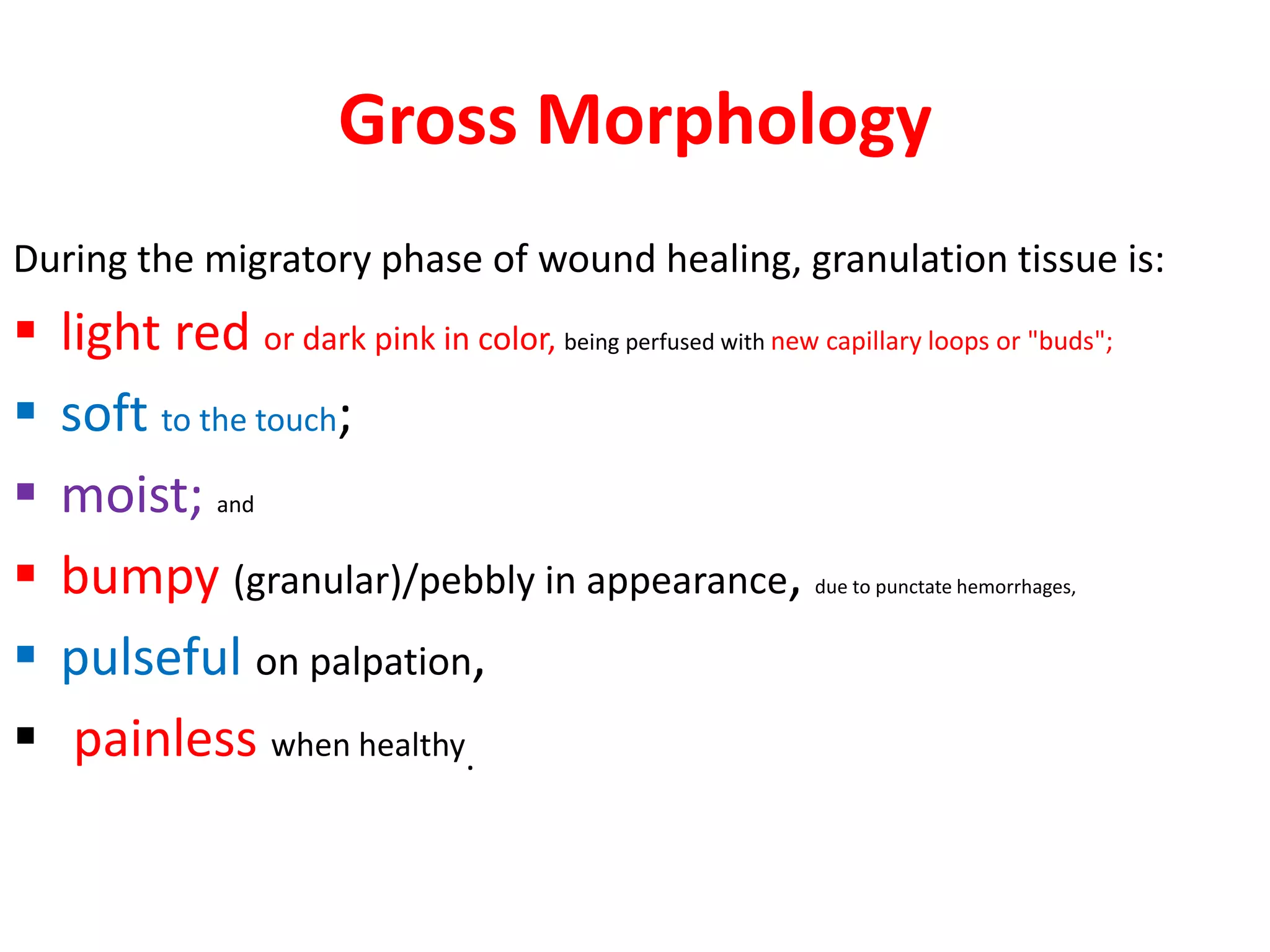 Granulation tissue formation | PPTX