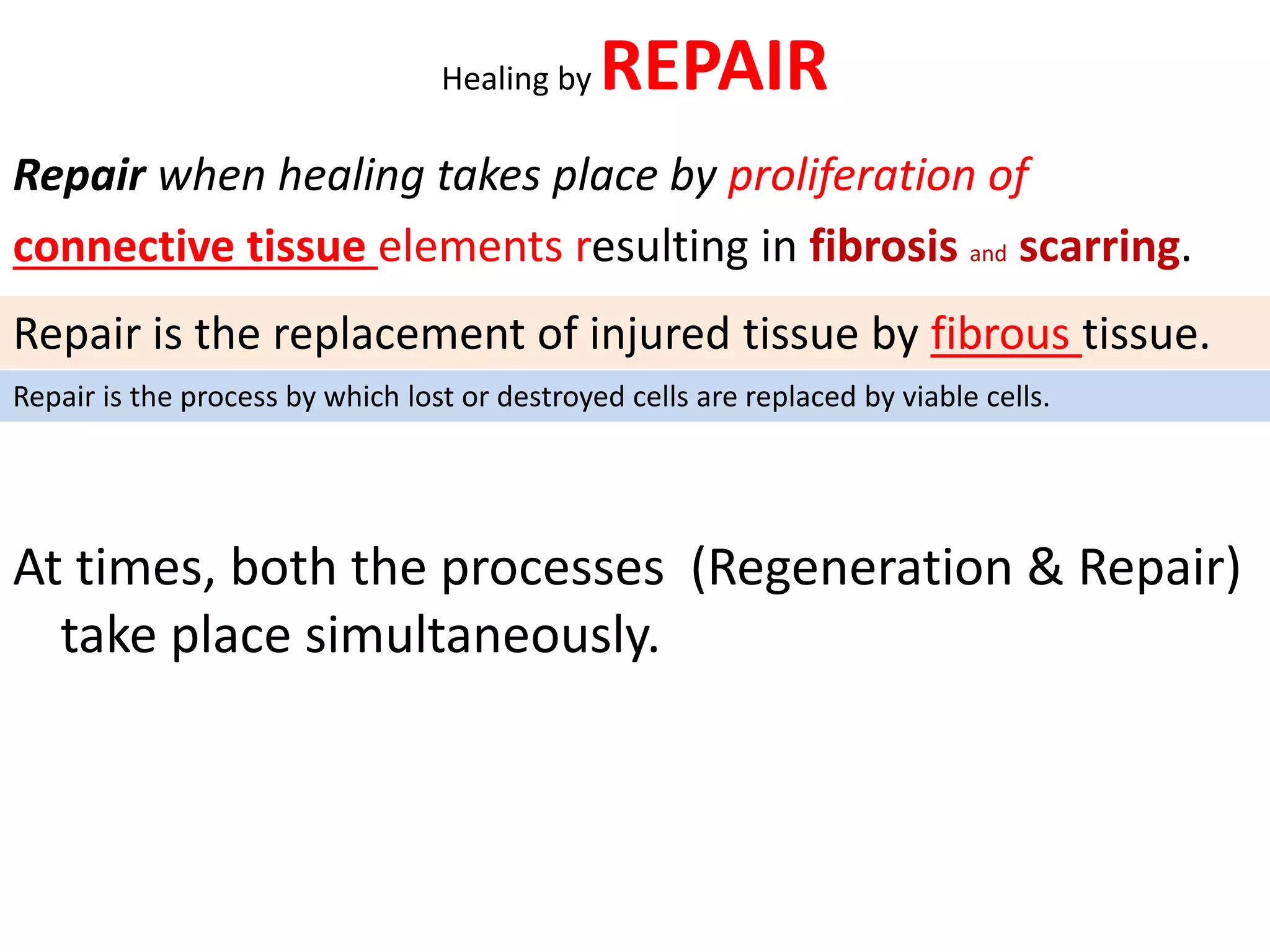 Granulation tissue formation | PPTX