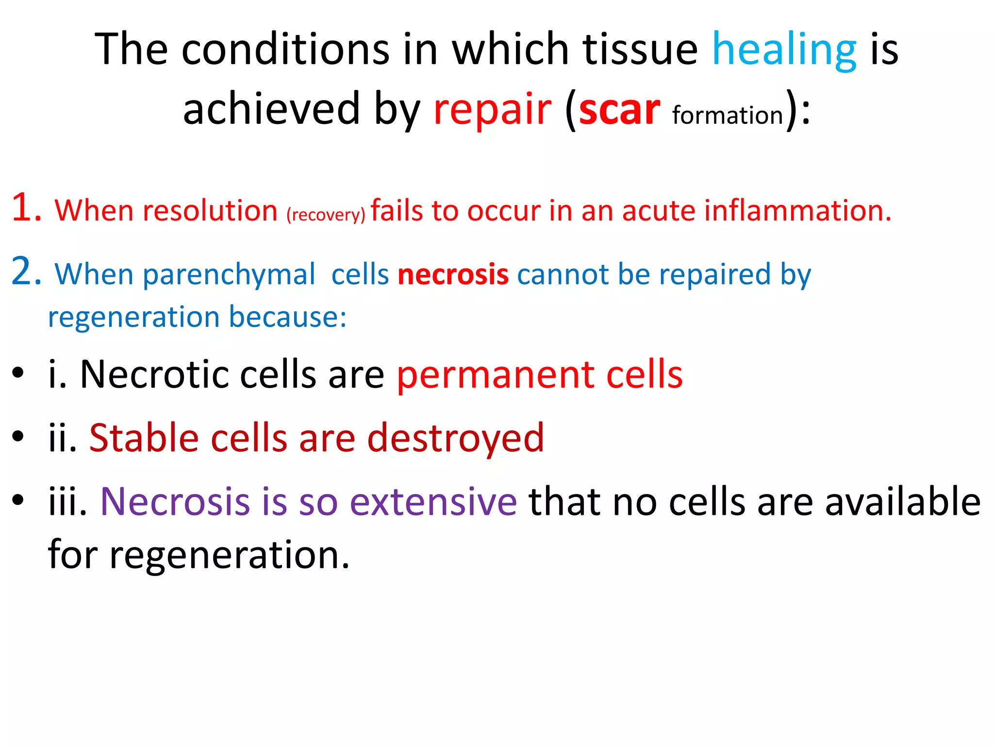 Granulation tissue formation | PPTX