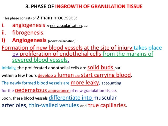 Granulation tissue formation | PPTX
