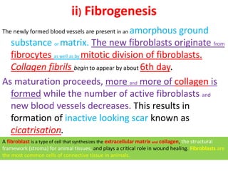 Granulation tissue formation | PPTX