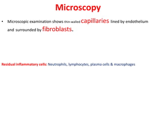 Granulation tissue formation | PPTX