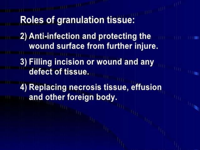 Granulation tissue formation | PPTX
