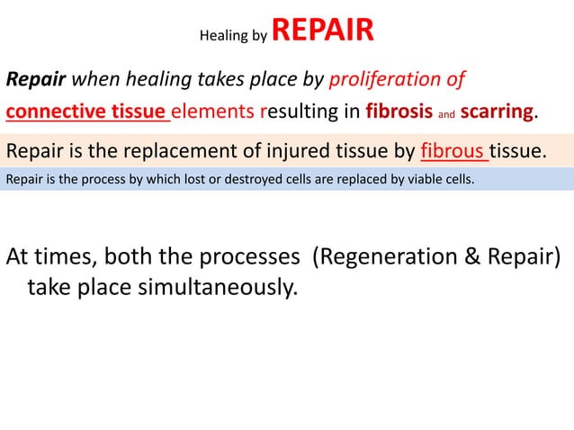 Granulation tissue formation | PPTX