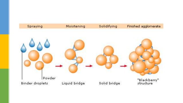 Granules - Pharmaceutics | PPT