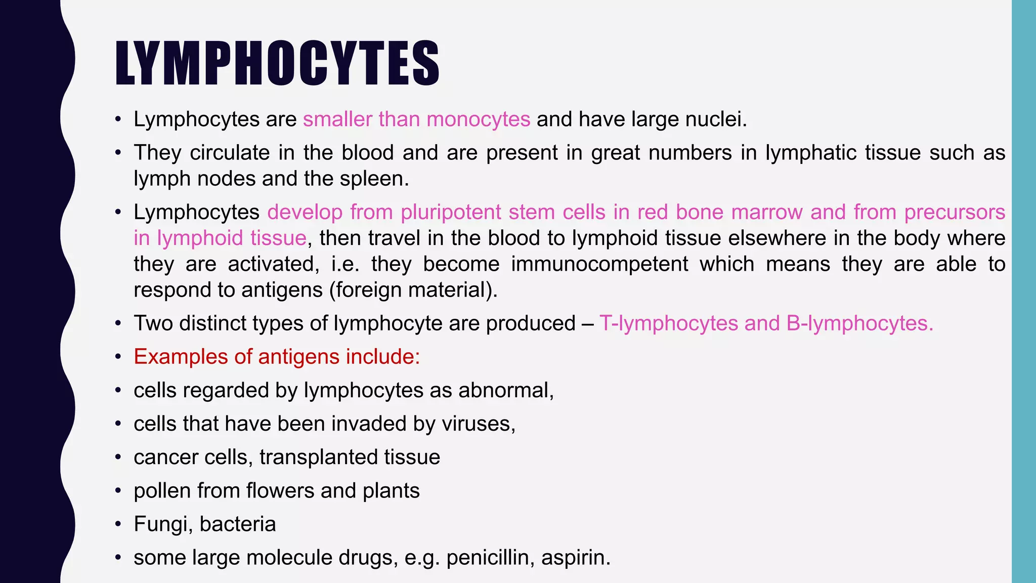 Granulocytes and agranulocytes.pptx