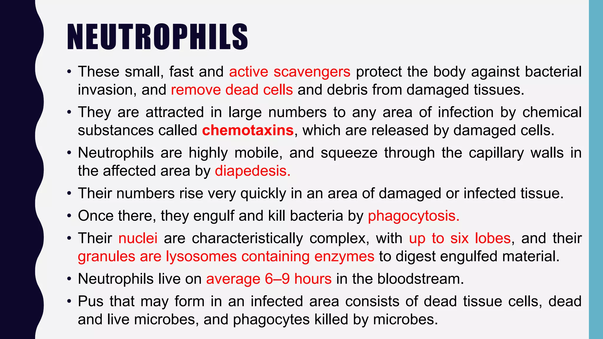 Granulocytes and agranulocytes.pptx
