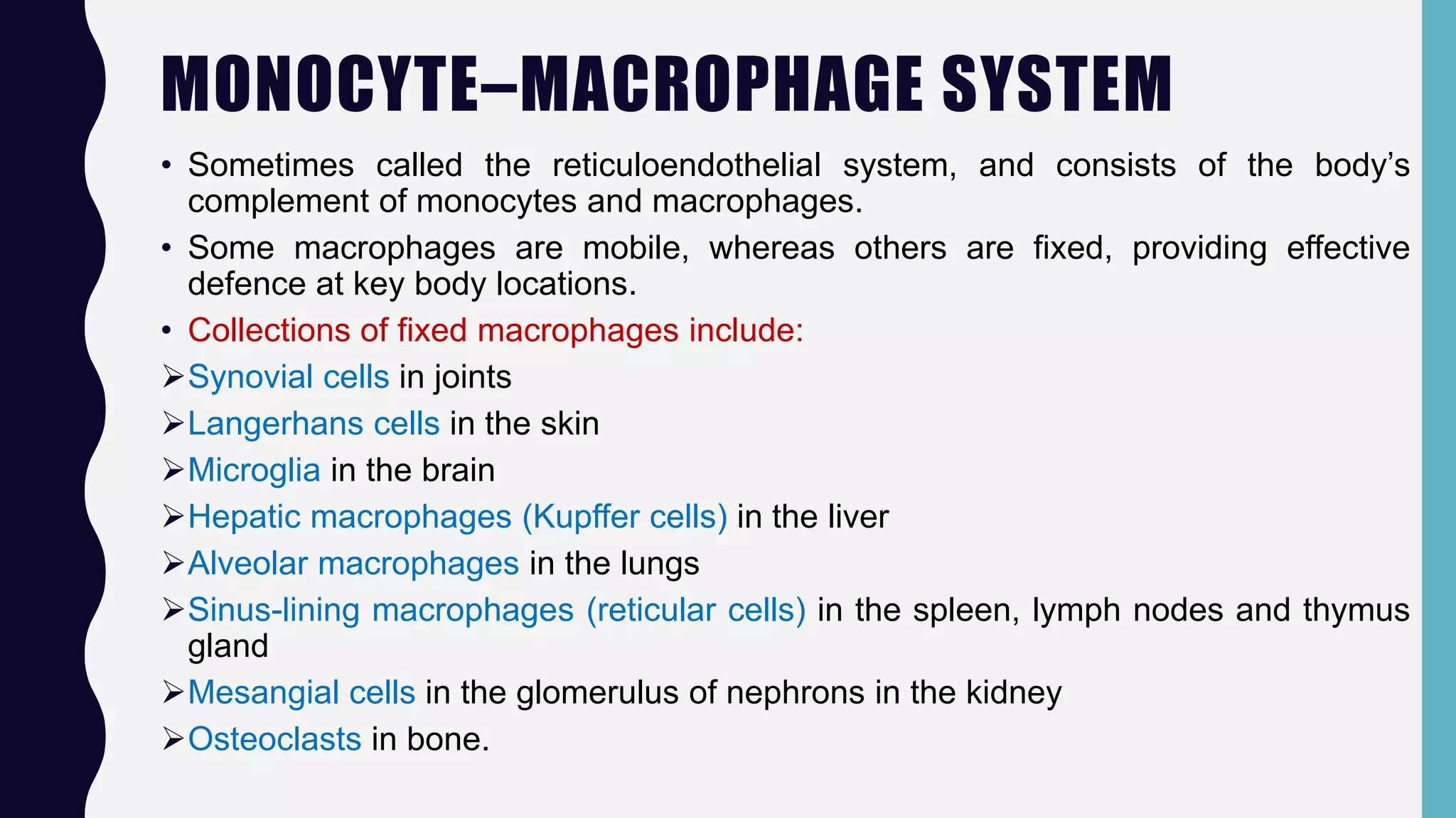 Granulocytes and agranulocytes.pptx