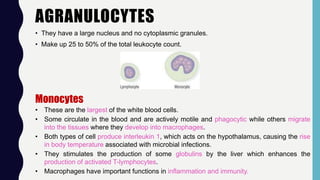 Granulocytes and agranulocytes.pptx