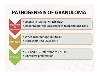 granuloma inflammation powerpoint presentation | PPTX