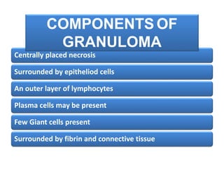 granuloma inflammation powerpoint presentation | PPTX