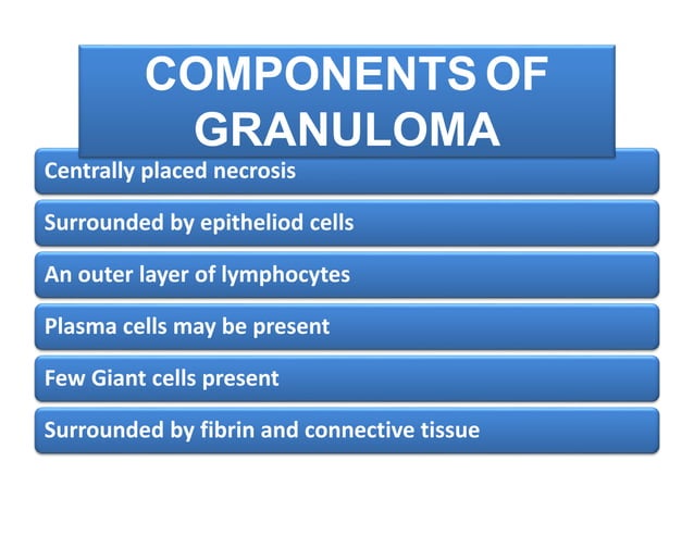 granuloma inflammation powerpoint presentation | PPTX