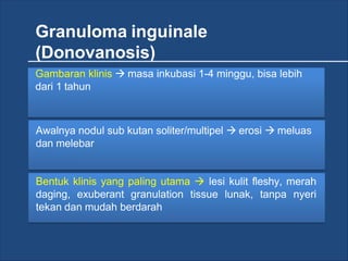GRANULOMA INGUINALE ppt bahasa indonesia .pptx