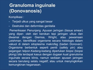GRANULOMA INGUINALE ppt bahasa indonesia .pptx