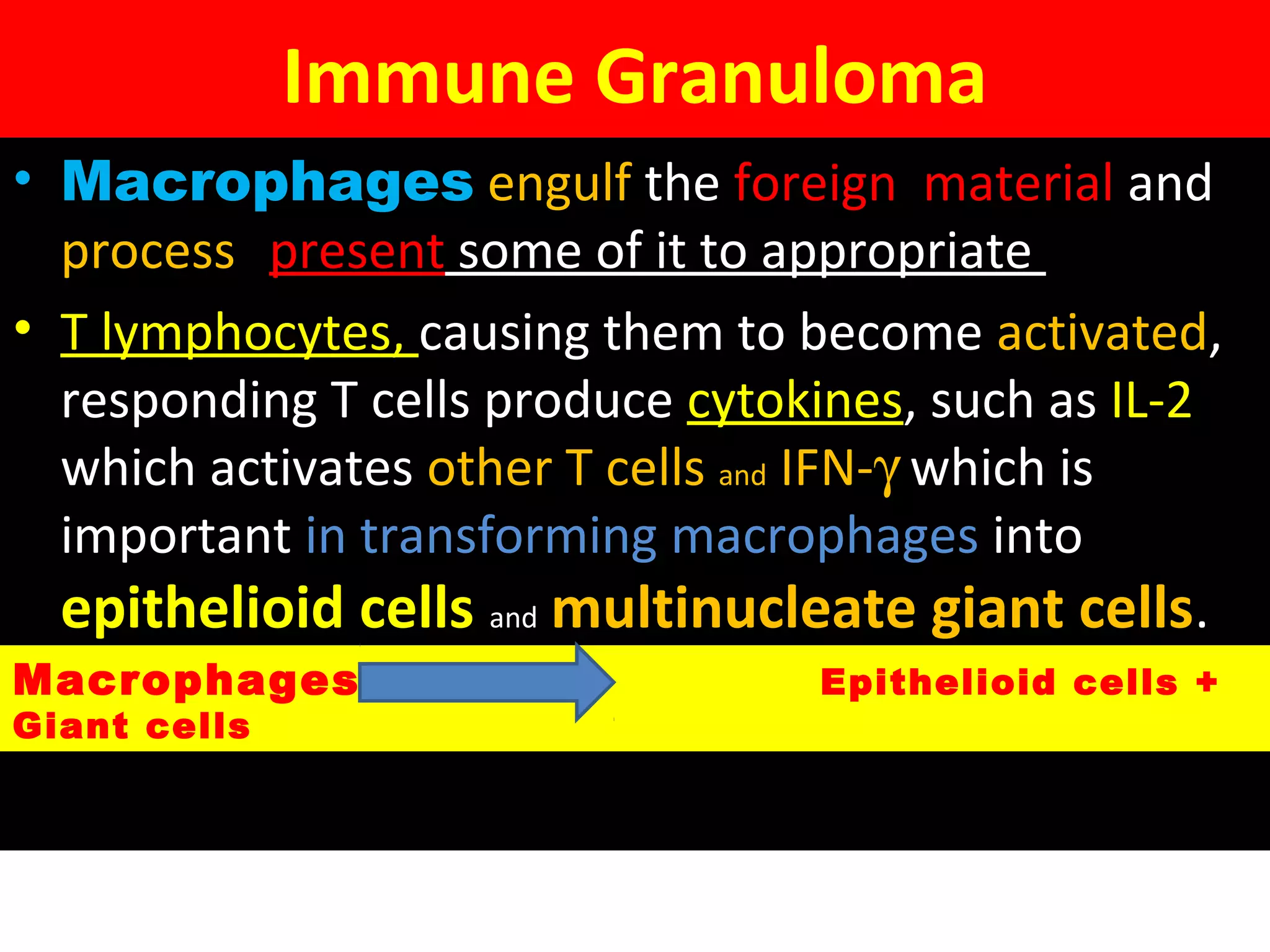 Granuloma lecture st | PPT
