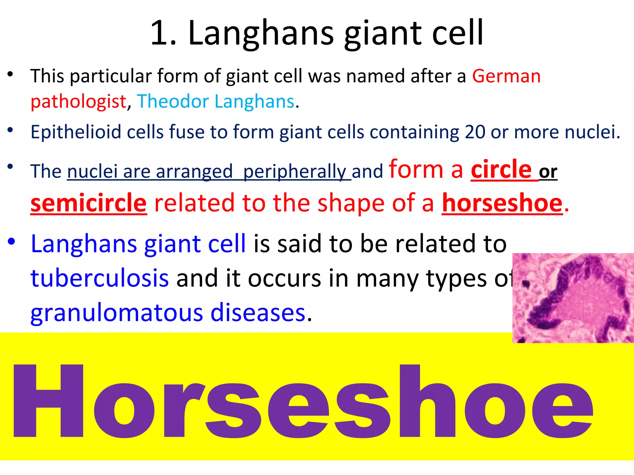 Granuloma lecture st | PPT