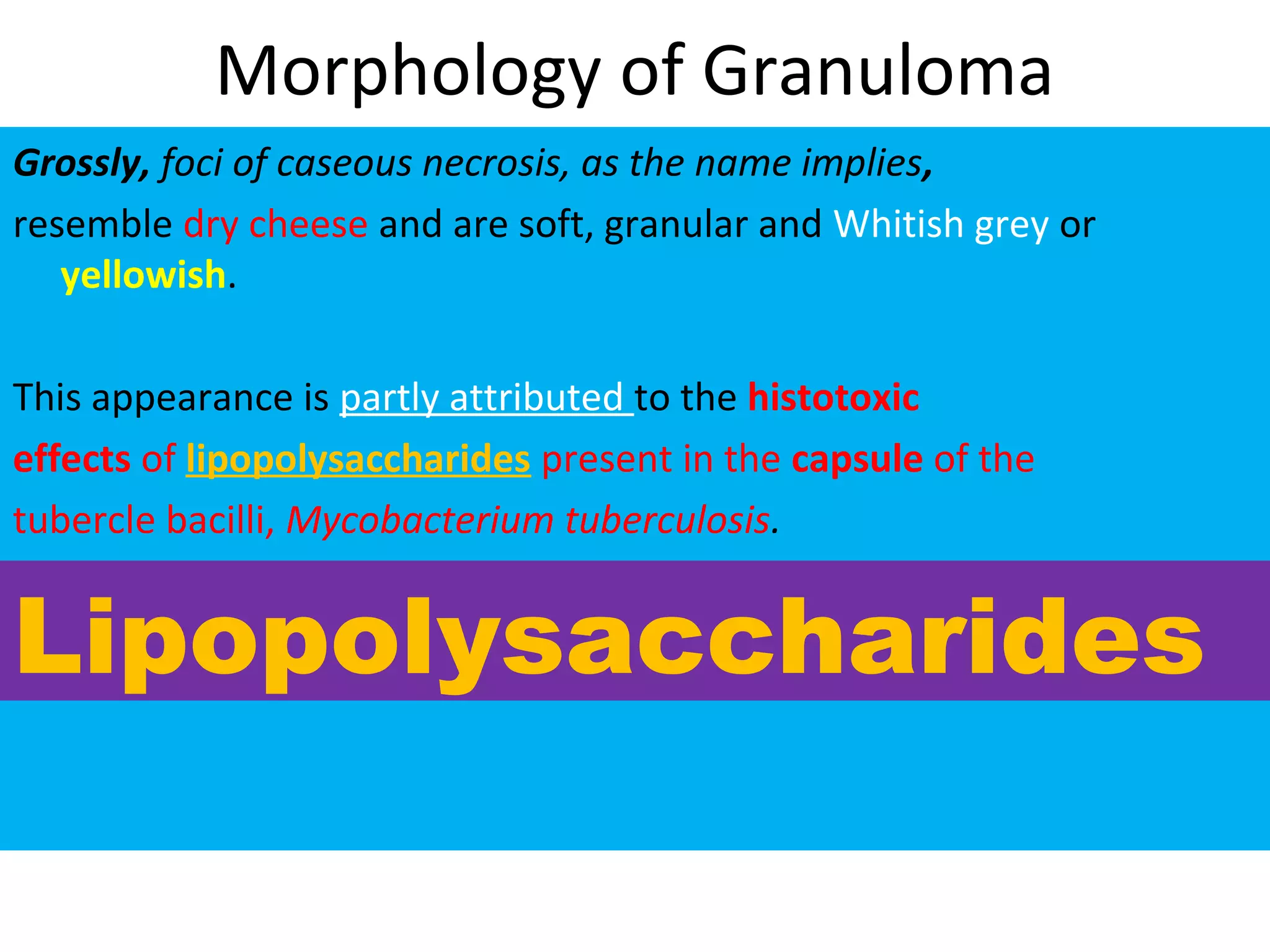 Granuloma lecture st | PPT