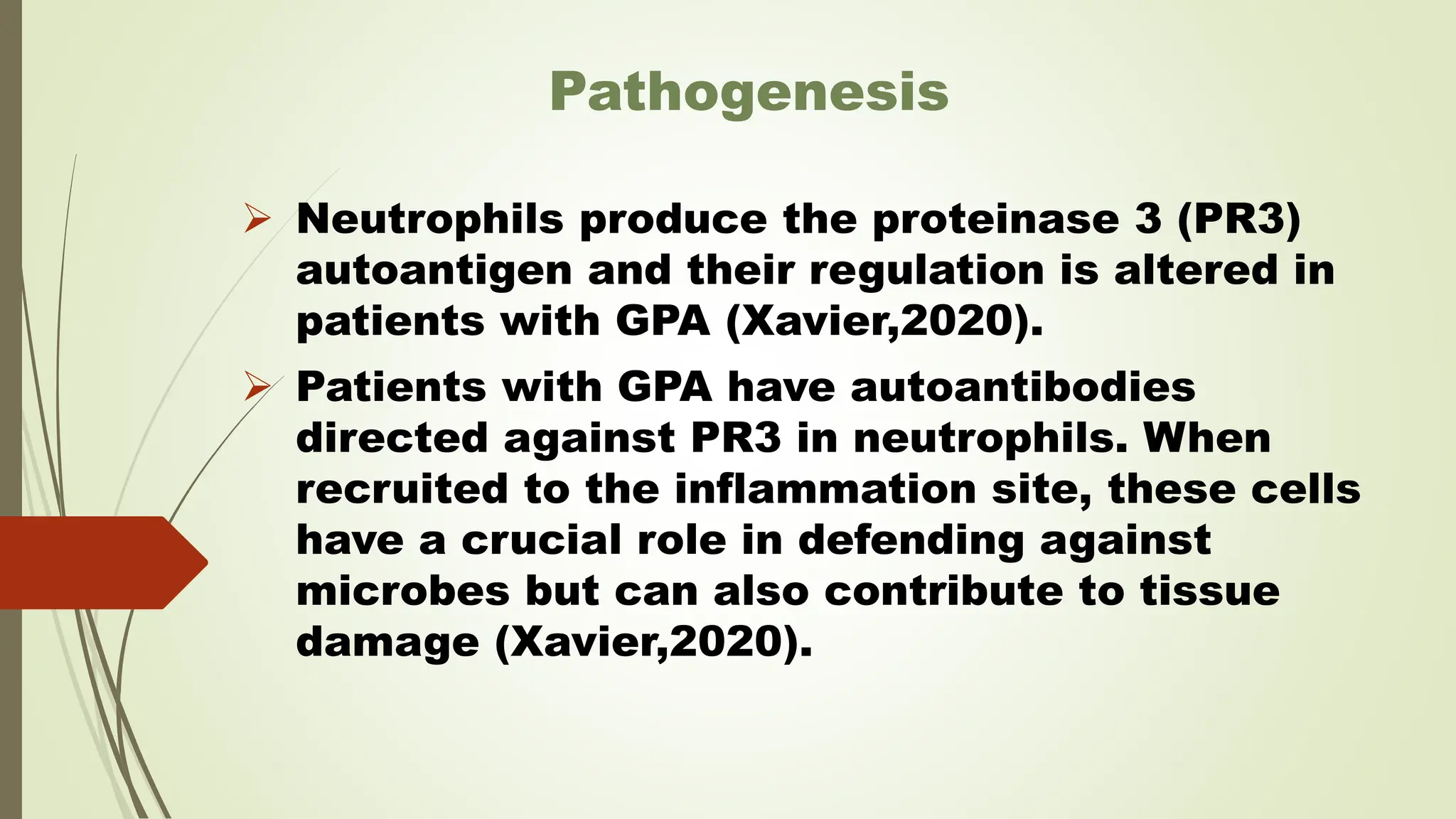 GRANULOMATOSIS WITH POLYAANGIITIS: An Ortho/neuro doc | PPTX