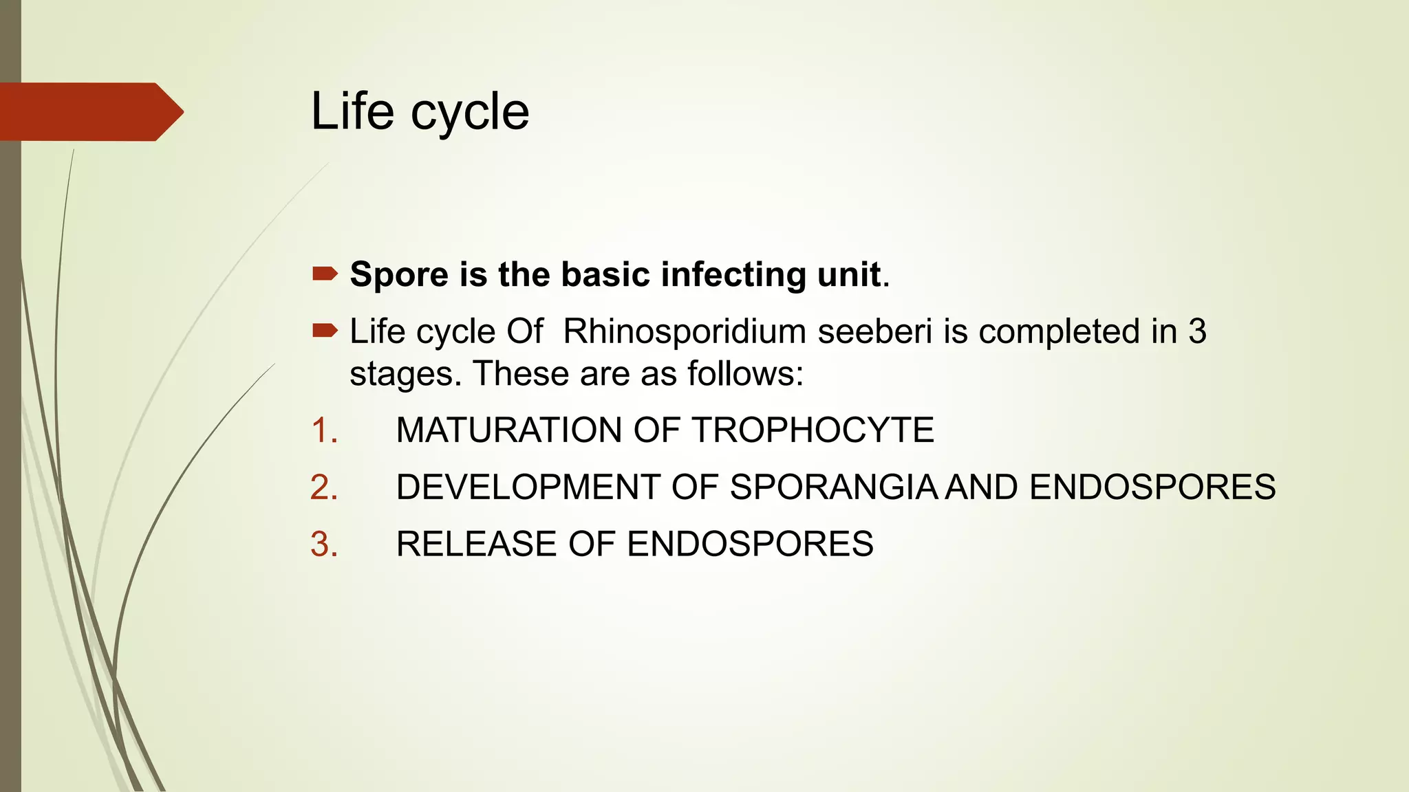 Granulomatous diseases of nose | PPTX