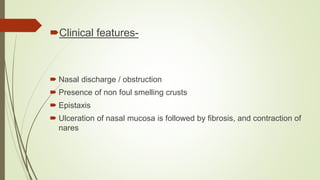 Granulomatous diseases of nose | PPTX