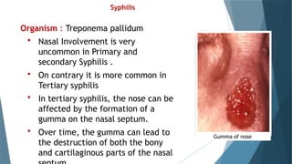 GRANULOMATOUS DISEASES OF NOSE.pptx is very much | PPTX