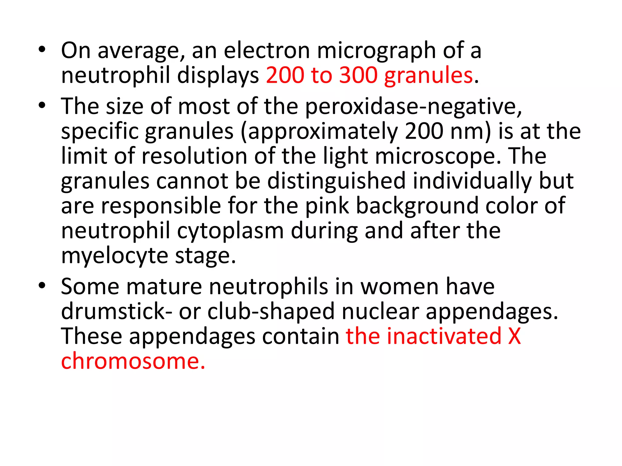 Granulocytes in health and disease | PPTX