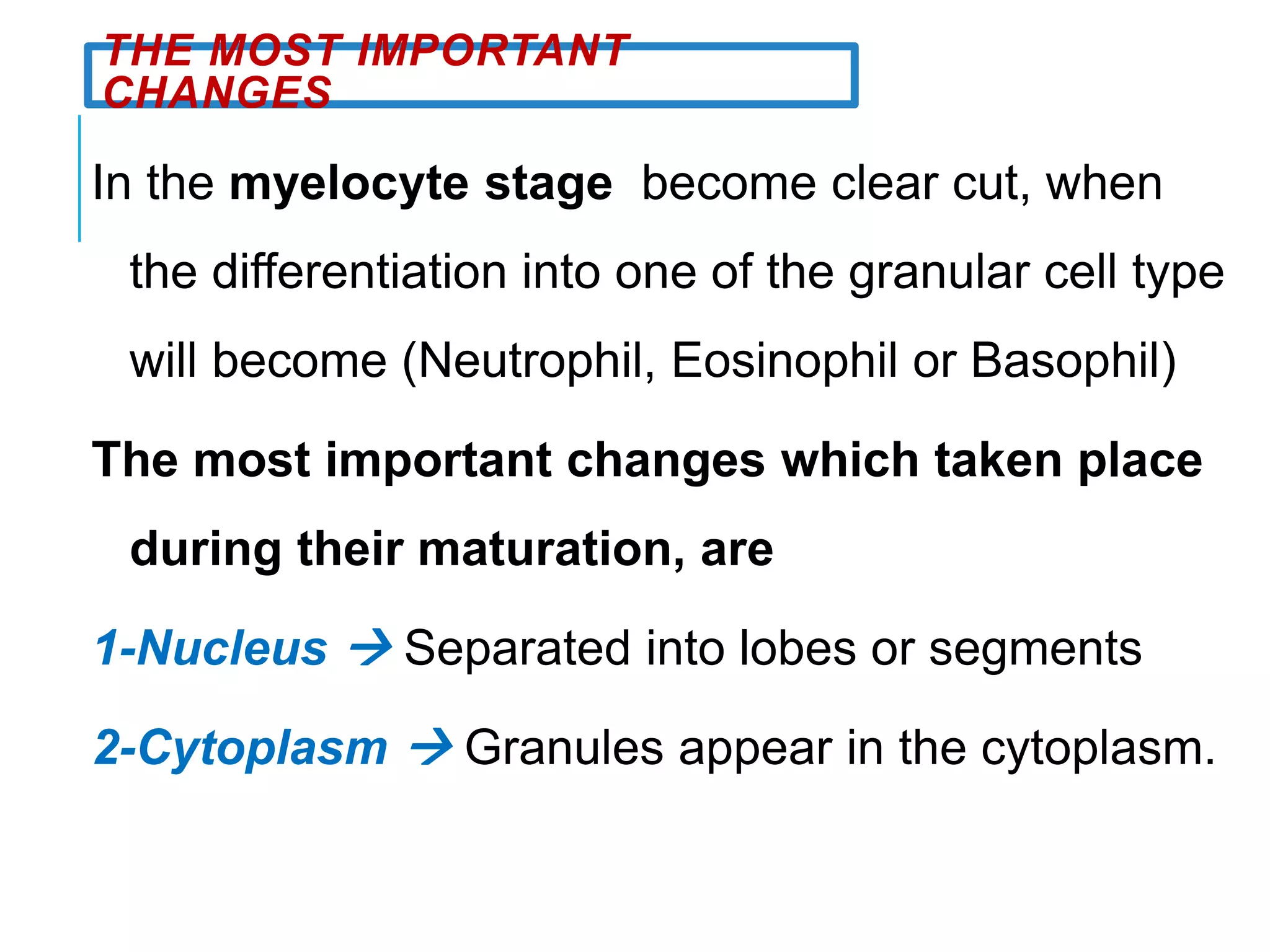 Granulopoiesis-Monocytopoiesis -Megakaryopoiesis.ppt