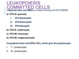 Granulopoiesis-Monocytopoiesis -Megakaryopoiesis.ppt