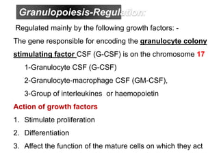 Granulopoiesis-Monocytopoiesis -Megakaryopoiesis.ppt