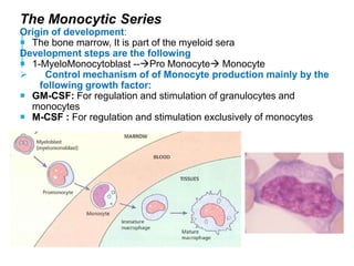 granulopoiesis-monocytopoiesis-megakaryopoiesis-230701183919-a0cd925b (1).pdf