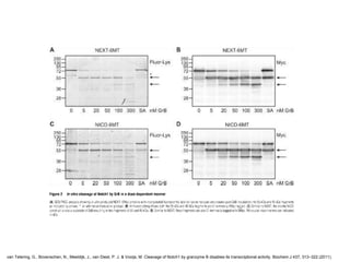 Granzyme | PPTX