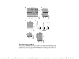 Granzyme | PPTX