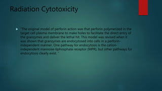 Radiation Cytotoxicity | PPT