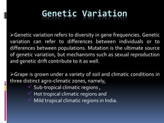 Genetic Variation & Intercultural Management of Grape | PPTX