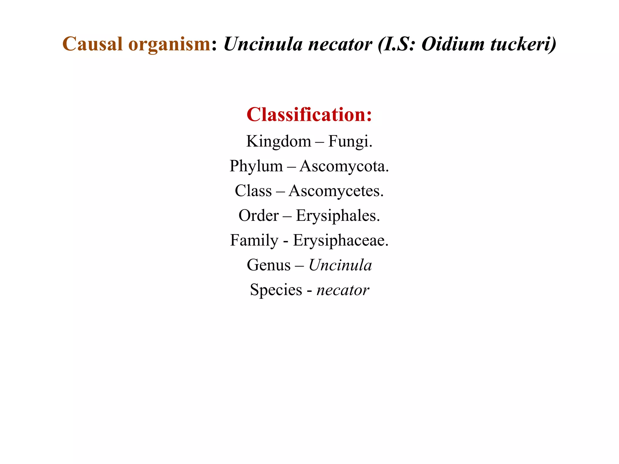 Diseases of Grape | PPTX