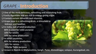 Grape cultivation | PPTX