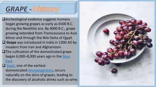 Grape cultivation | PPTX