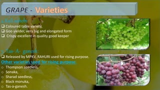 Grape cultivation | PPTX