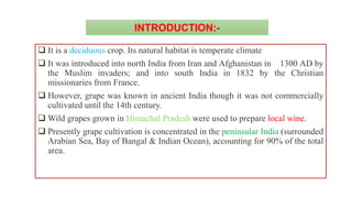 grape.pptx Crop improvement and production | PPTX