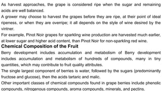 All about Grape Berry Devlopment stages.pptx