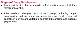 All about Grape Berry Devlopment stages.pptx