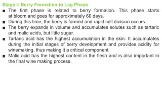 All about Grape Berry Devlopment stages.pptx